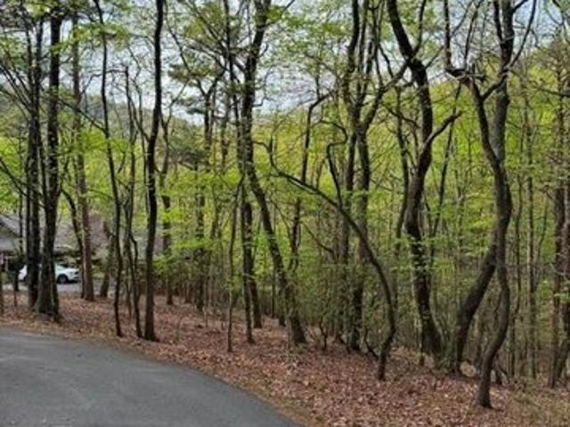 226 Crested Fern Ln, Big Canoe, GA 30143