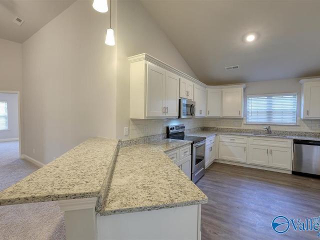 226 Abercorn Drive