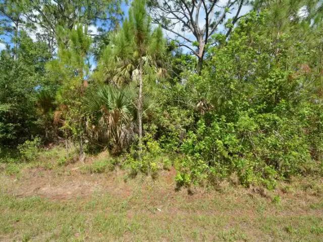 226 BAYSHORE AVE NW, PALM BAY, FL 32907 Vacant Land For Sale.