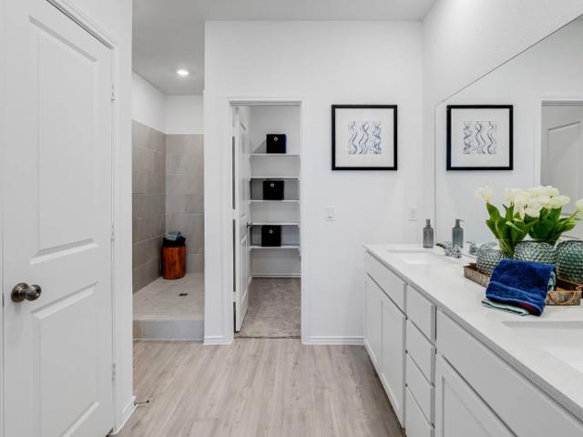 226 Draper Shadows Drive