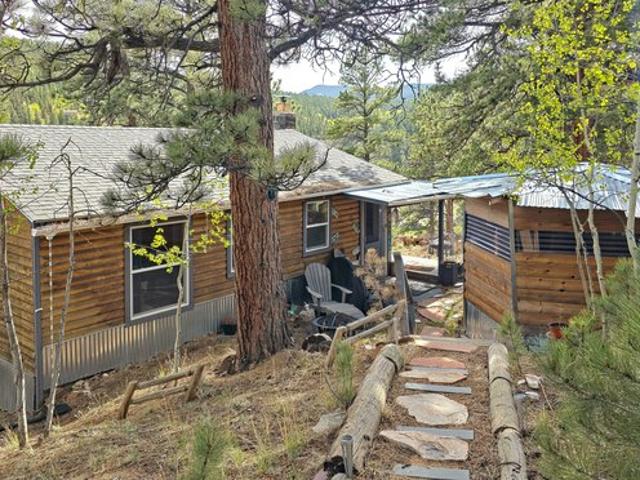 226 Hall Rd, Bailey, CO 80421