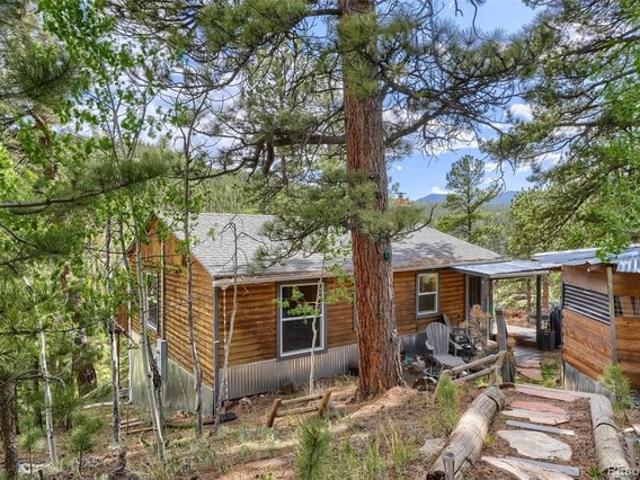 226 Hall Rd, Bailey, CO 80421