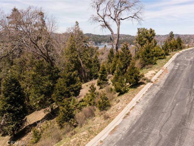 226 Hidden Forest Road