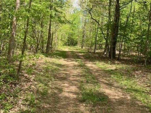 226 Madison St # 410, Fredericktown, MO 63645