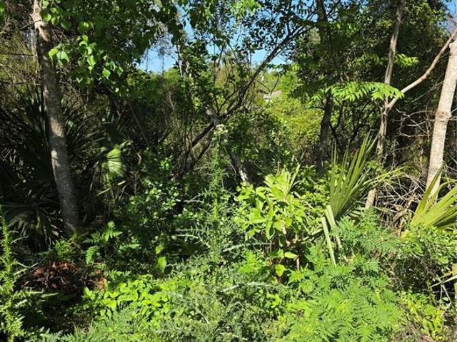 226 Walnut Ave, Orange City, FL 32763 | MLS #V4948 | Compass
