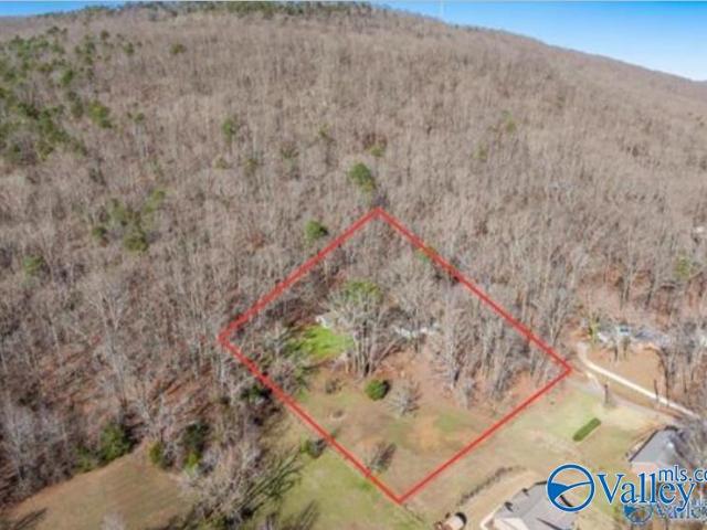 226 Walter Bird Drive
