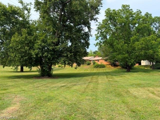 226 white plains road