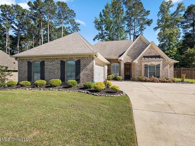 226 Terrapin Creek Rd, Brandon, MS 39042