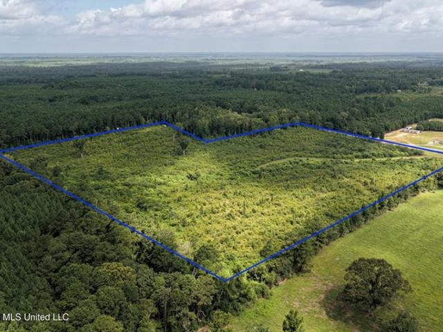 226 Van Holmes Rd, Tylertown, MS 39667