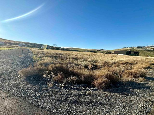 2274 Chukar Drive