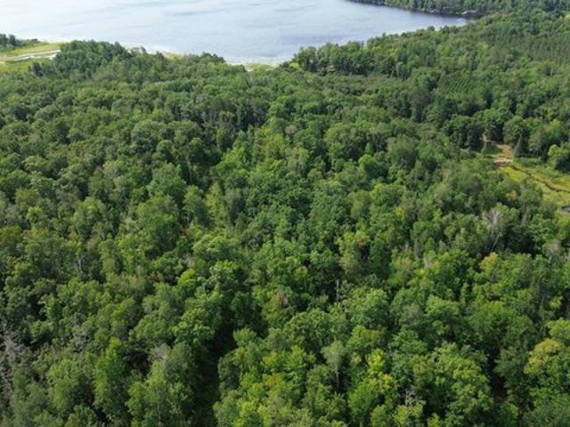22751 County Road 1, Emily, MN 56447