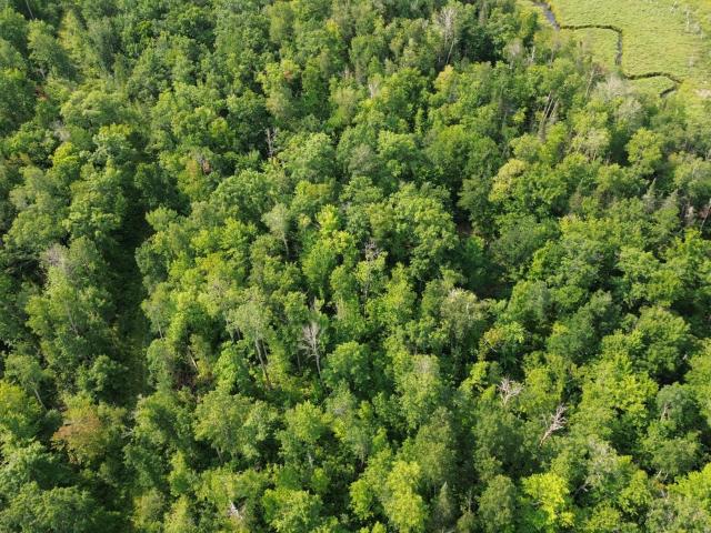 22751 County Road 1