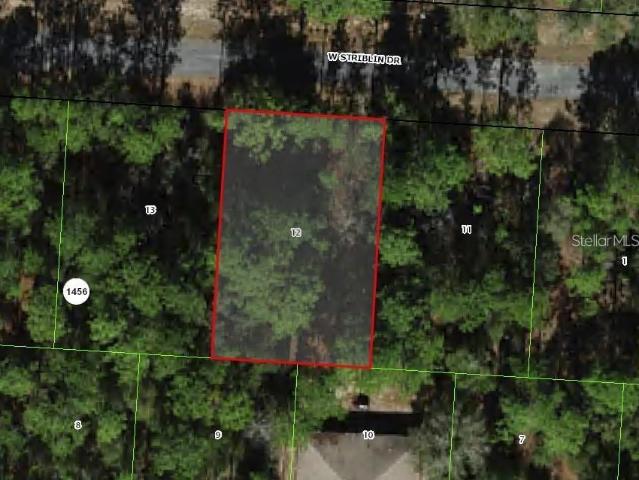 2276 W Striblin Dr, Citrus Springs, FL 34434 | MLS #O6336