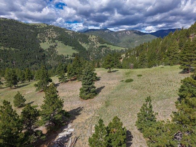 2270 Lynx Trail Dr, Wolf Creek, MT 59648