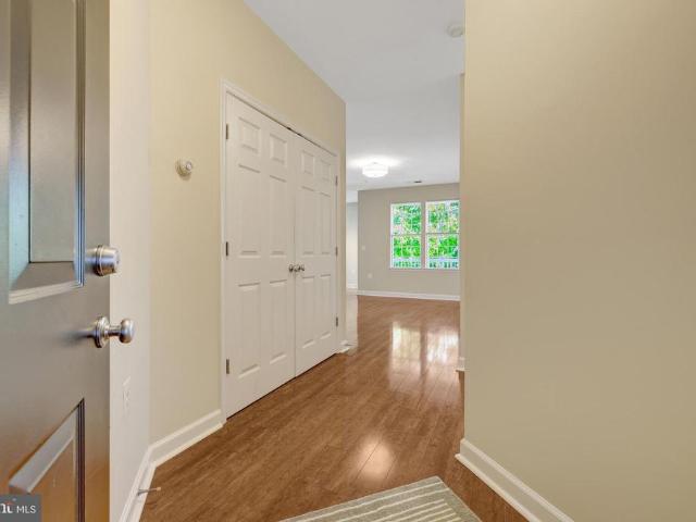 22710 Blue Elder Terrace # 203
