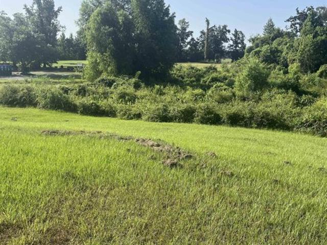 22718 Hoo Shoo Too Rd, Baton Rouge, LA 70817