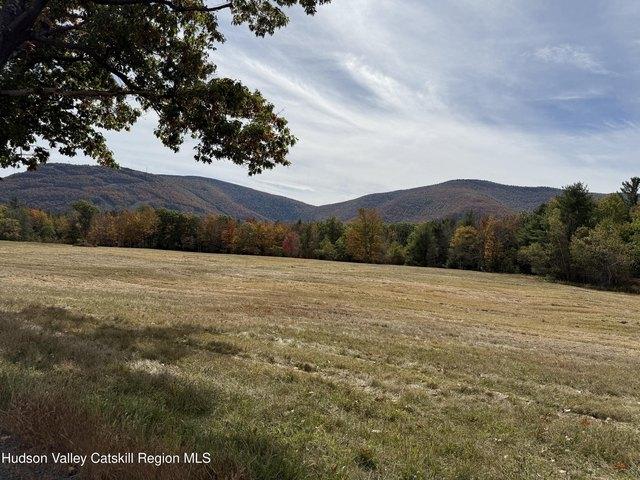 2272 NY 296, Hunter, NY 12442