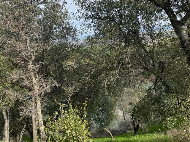 22738 River View Dr, Cottonwood, CA 96022 | MLS #26 546 | Compass