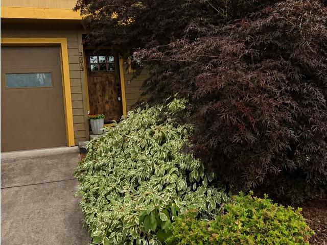 2273 june st