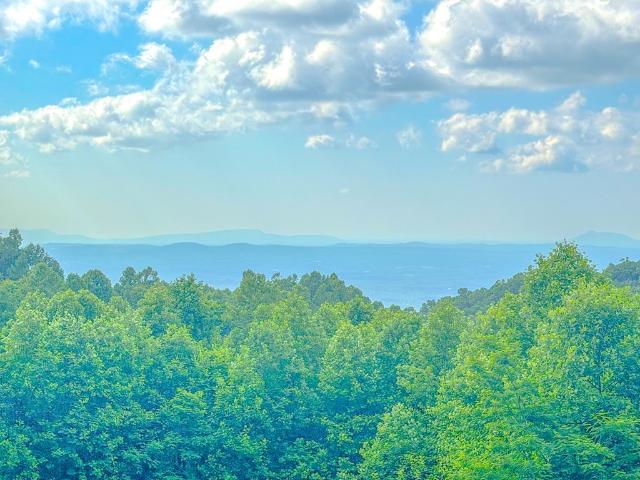227 Cabin Ridge Trail