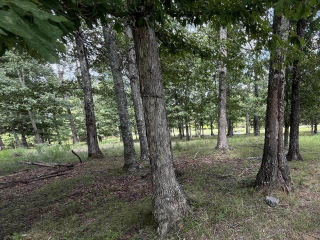 227 Blackberry Farm Rd