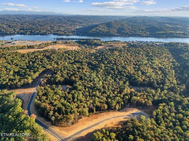 227 Flip Flop Way, Loudon, TN 37774