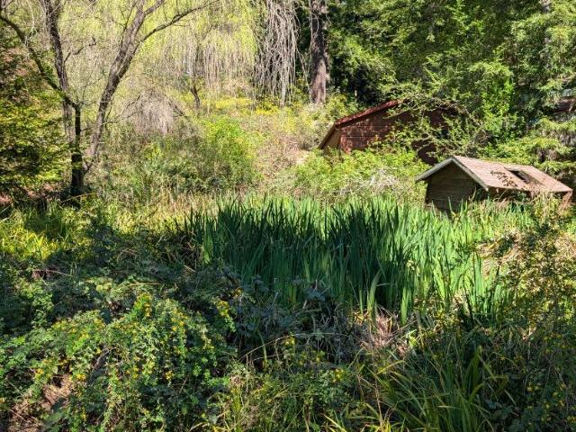 227 Old Ranch Road