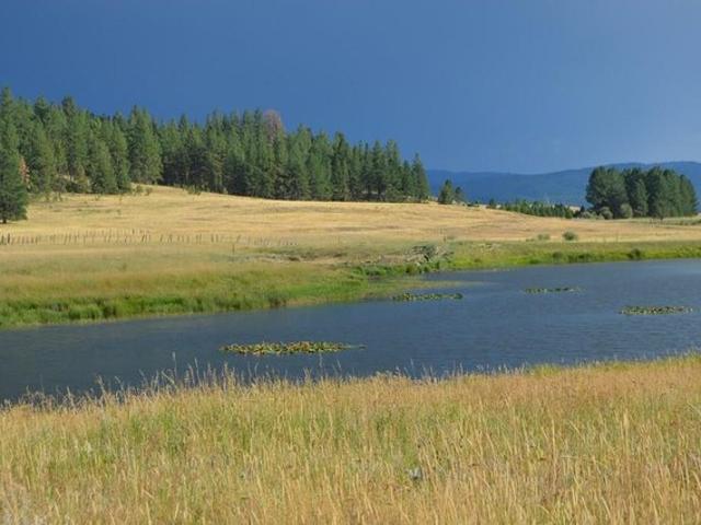 227 Paddy Flat Rd, McCall, ID 83638