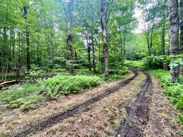 2285 State Route 10, Jefferson, NY 12093 | MLS #202611 | Compass