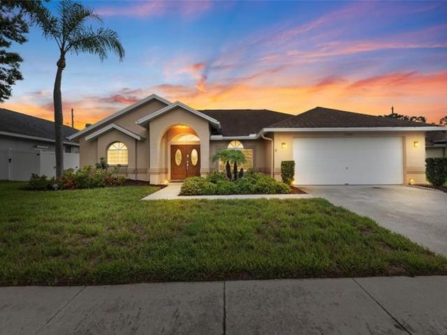 22861 Sterling Manor Loop, Lutz, FL 33549