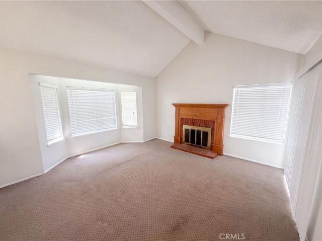 22864 Finch