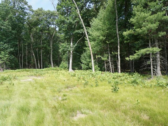 2287 W White Lake Drive