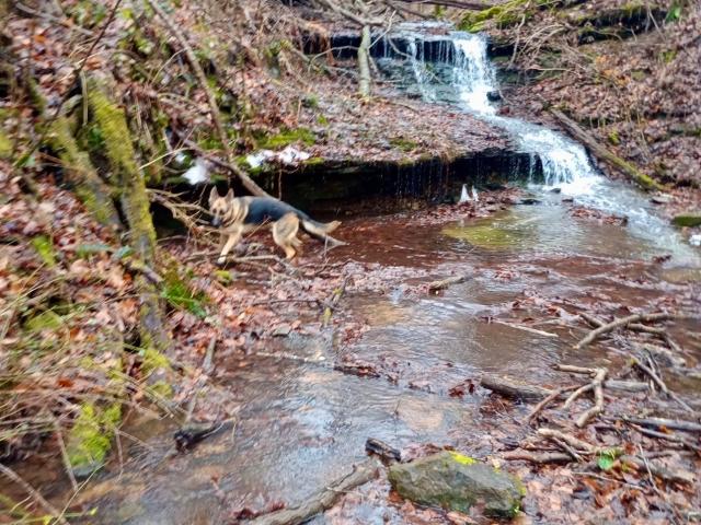 2280 Big Opossum Creek Rd