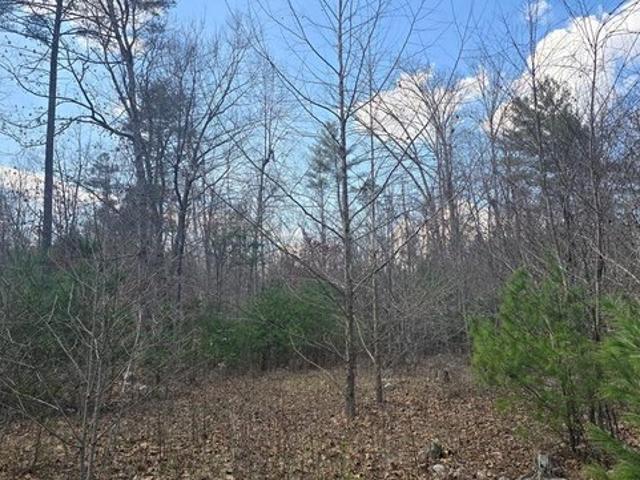 2280 Jennings Rd Lot 1, Shawsville, VA 24162