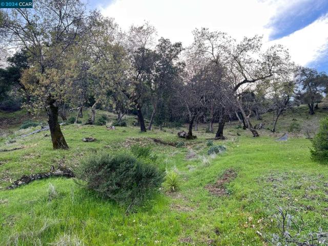 228 Country Club Ln, Napa, CA 94558 | MLS #41080 | Compass