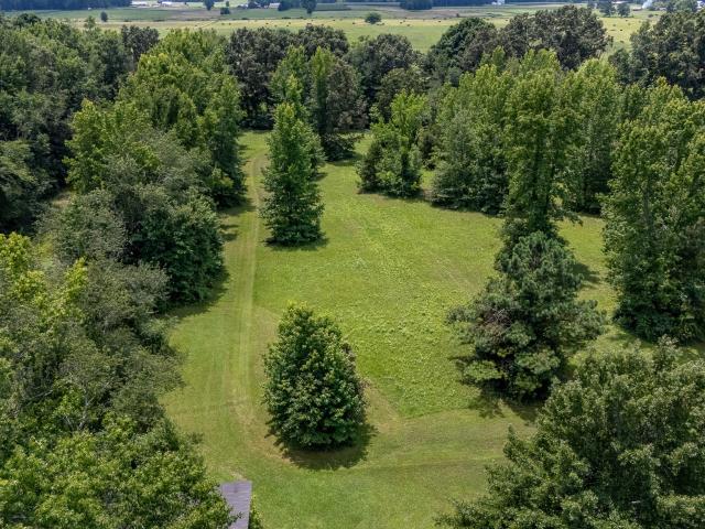 228 Campbellsville Pike