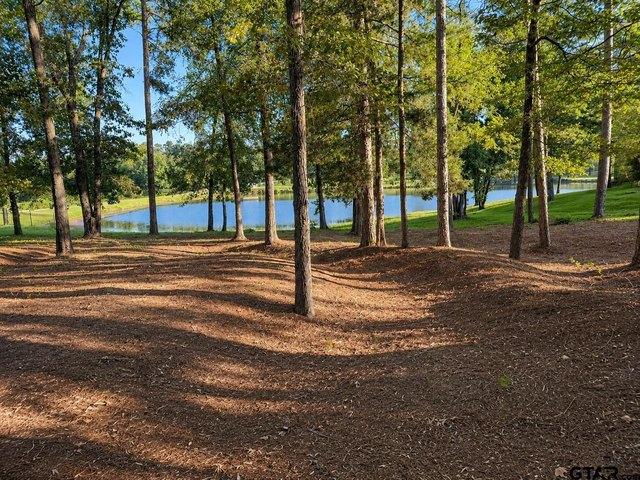 228 Carltons Way, Bullard, TX 75757