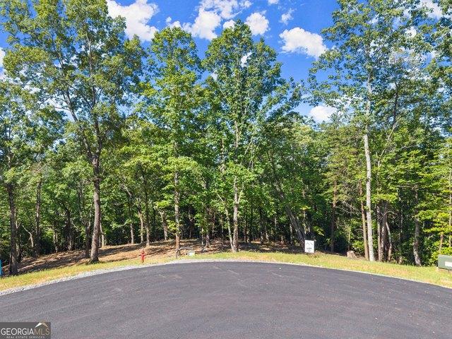 228 Chimney Oaks Trl, Cleveland, GA 30528