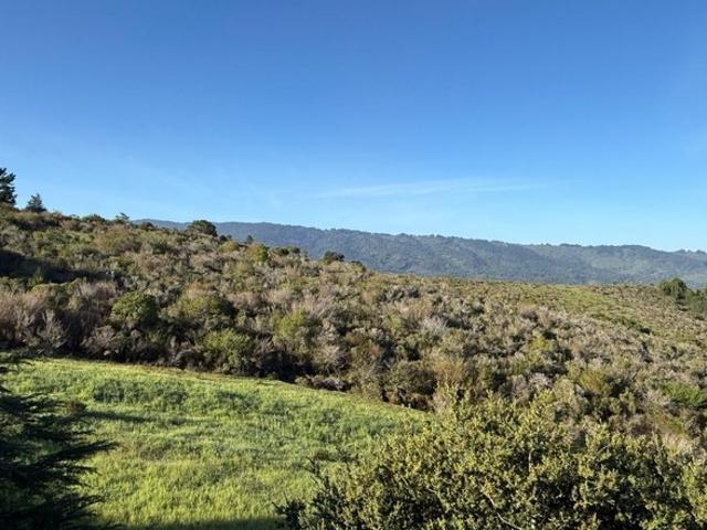 228 Crestview Dr, San Carlos, CA 94070