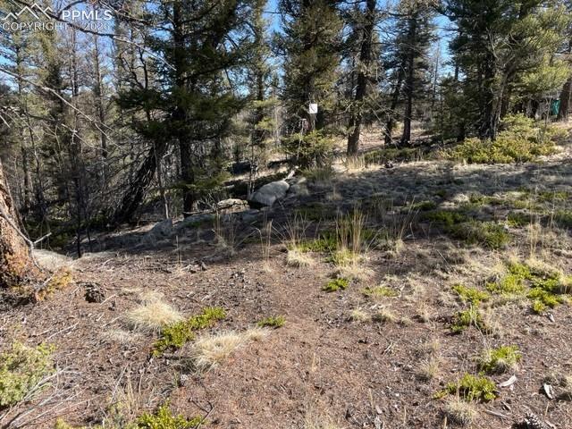 228 Alpine Dr, Florissant, CO 80816 | MLS #4384