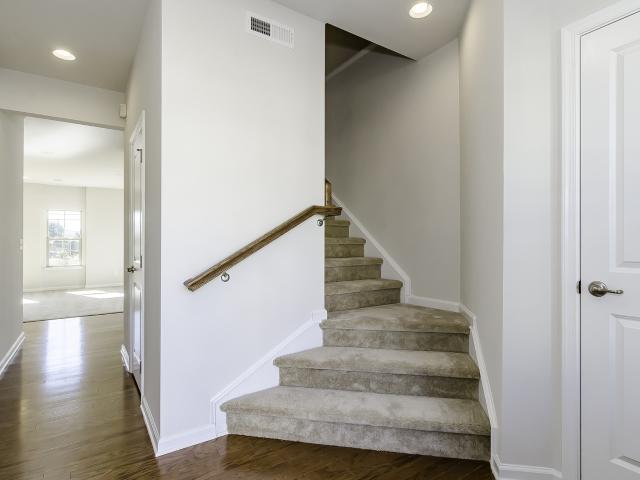 228 Primrose Lane