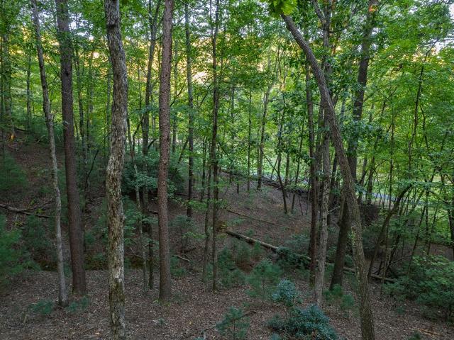 228 Toccoa Ct, Ellijay, GA 30540 | MLS #419311