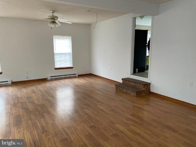 228 Tadpole Lane