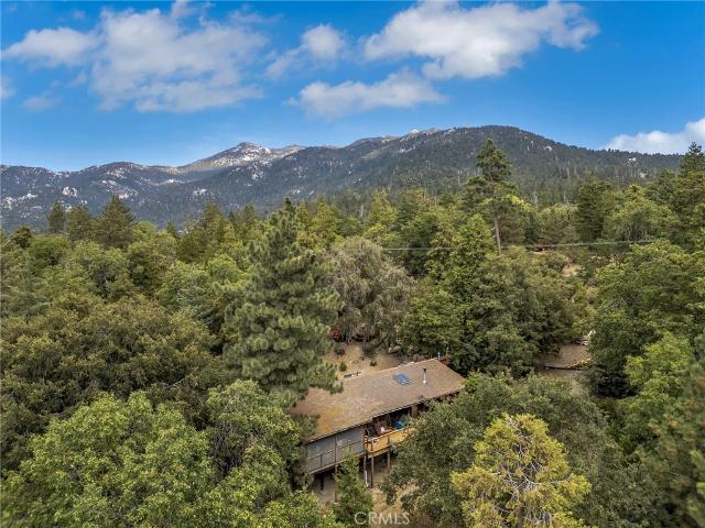 22901 Eagles Nest Dr, Idyllwild, CA 92549 | MLS #SW25240