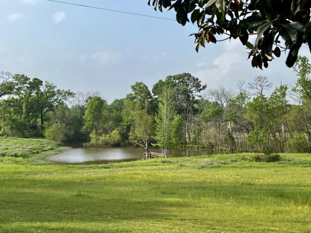 2290 Interstate 45, New Waverly, TX 77358 | MLS #49818