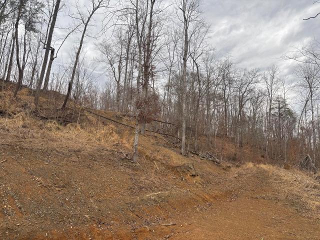 2291 Blankey Branch Road