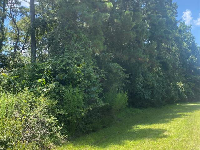 22922 Blackgum Dr, Magnolia, TX 77355 | MLS #40670 | Compass