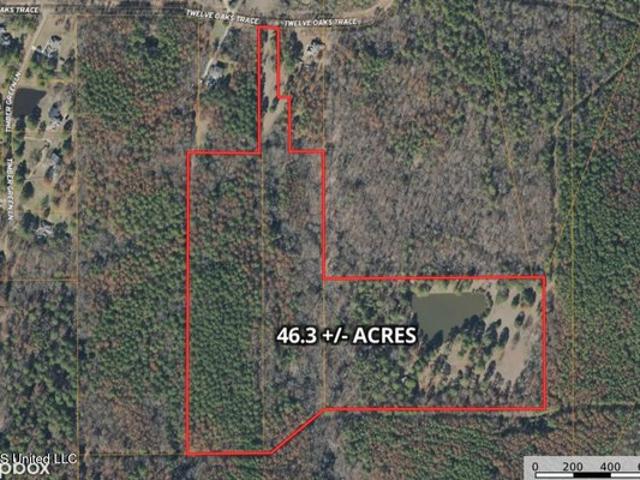 229 12 Oaks Trce, Canton, MS 39046
