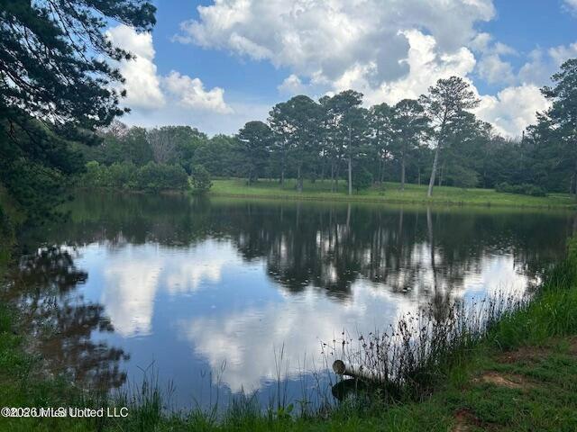 229 12 Oaks Trce, Canton, MS 39046