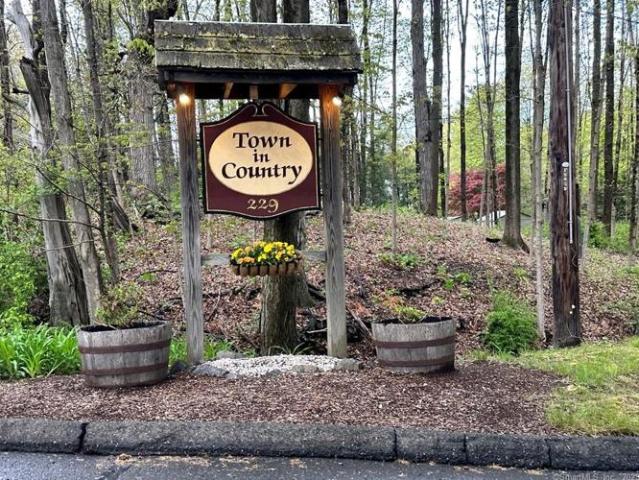 229 Bacon Pond Rd #332, Woodbury, CT 06798